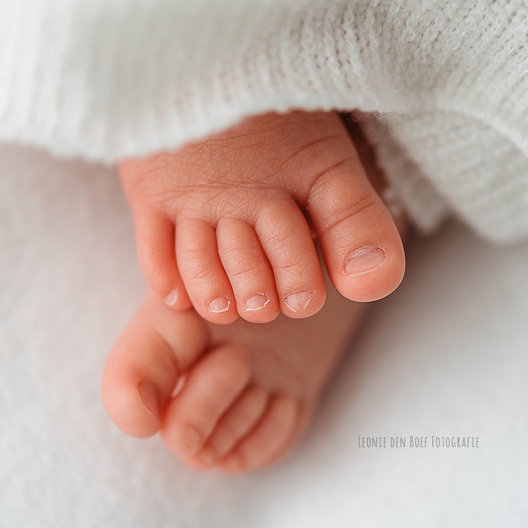 10 Newborn Photo Ideas: Inspiration for Your Baby's First Portraits ...
